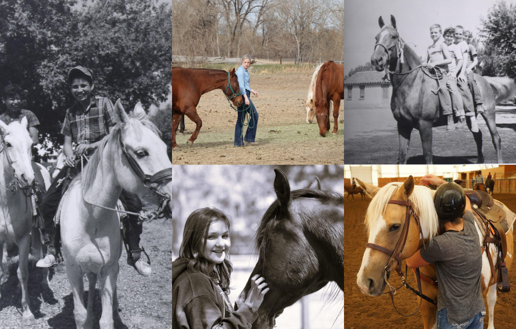 A Legacy of Healing with Horses: The Bill and Anita Jones Equestrian ...