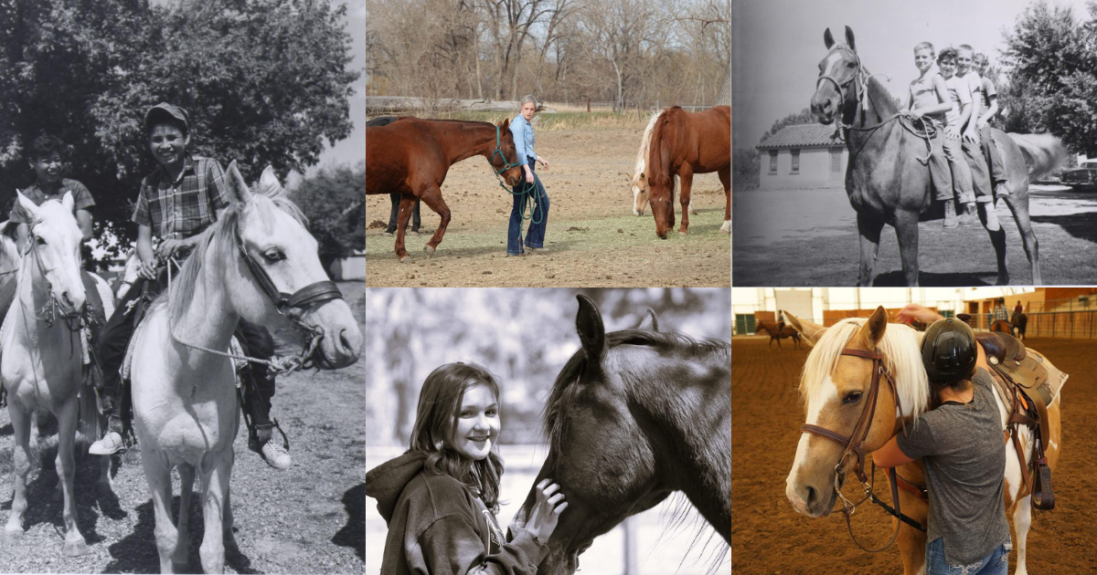 A Legacy of Healing with Horses: The Bill and Anita Jones Equestrian ...